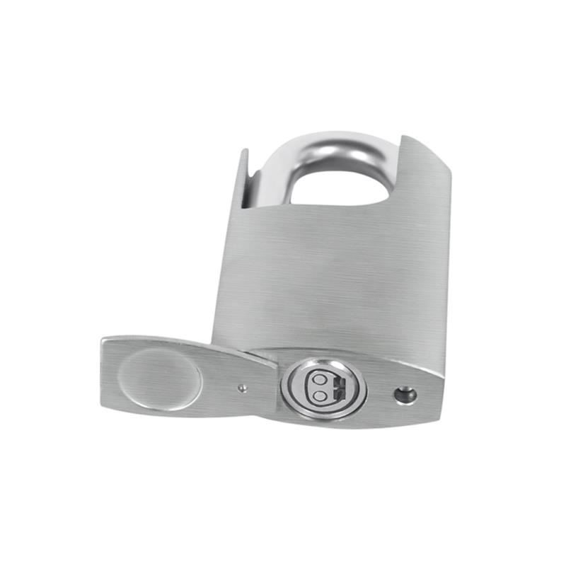 Digital Electronic Padlock - Ningbo Rayonics Technology Co., Ltd.