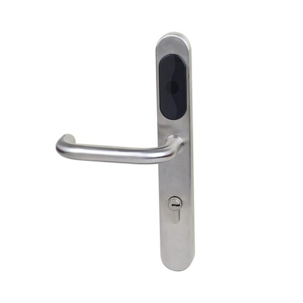 Integrated Electronic Smart Door Lock with Handle - Ningbo Rayonics ...