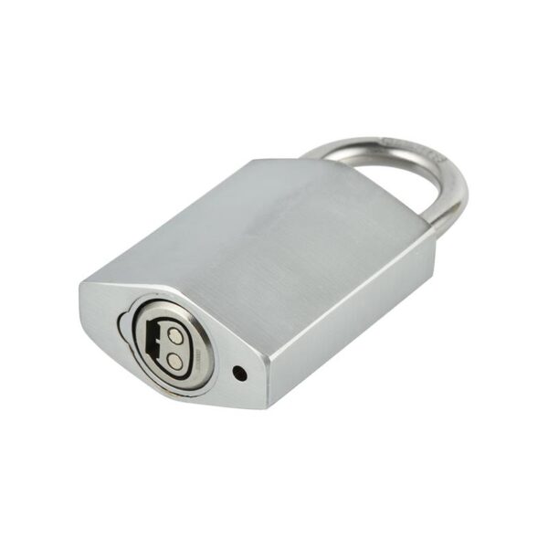 Industrial Padlock - Ningbo Rayonics Technology Co., Ltd.